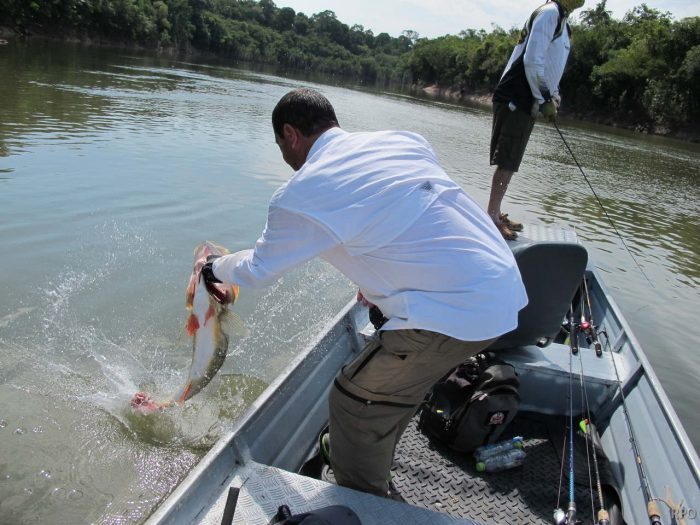 Fishing Reports - River Plate Anglers