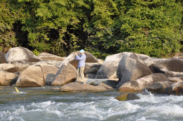 Fishing Reports - River Plate Anglers