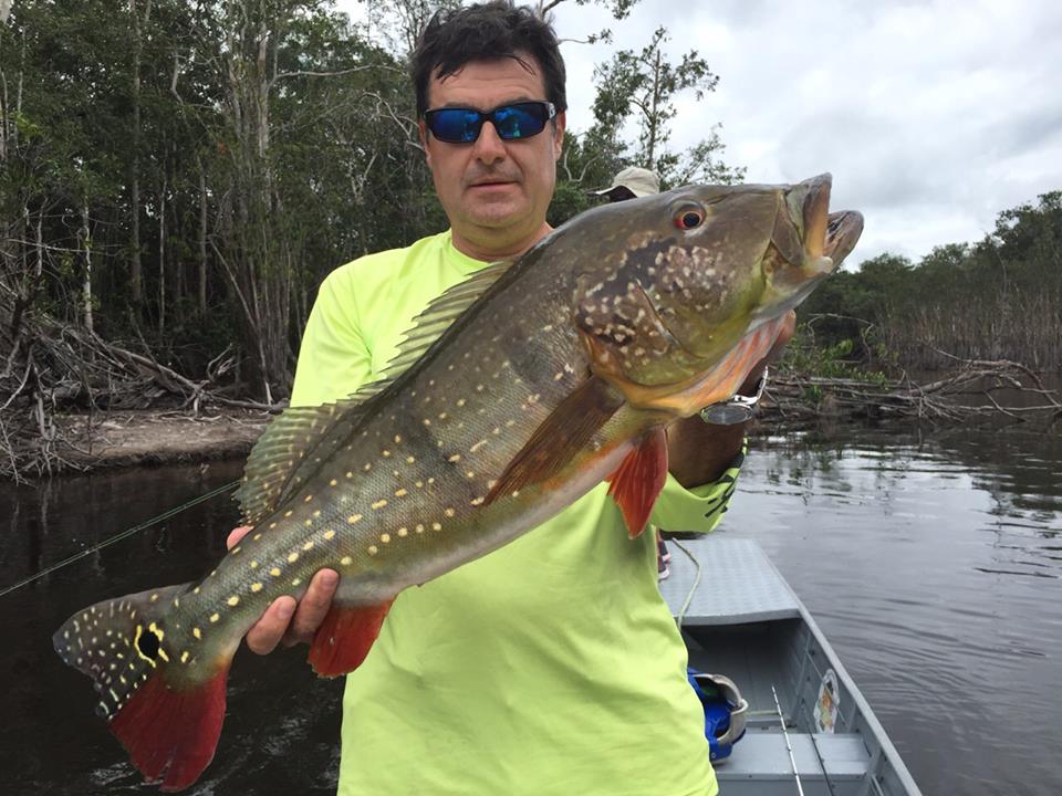 8. Tucunaré Açú - Paca - Cichla temensis - River Plate Anglers