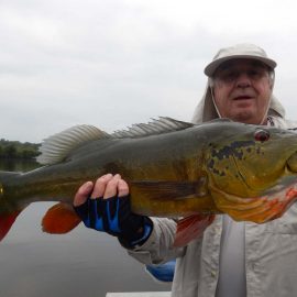 Fishing Reports Archive - River Plate Anglers