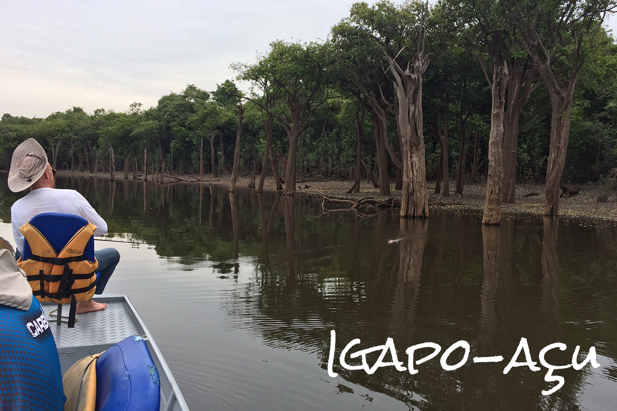 Home - River Plate Anglers