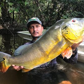 Fishing Reports Archive - River Plate Anglers